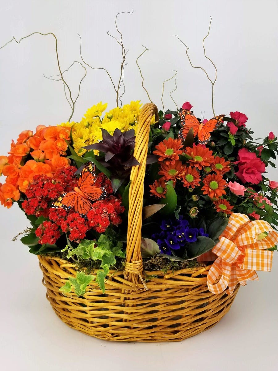 Colorama - Stadium Flowers Seattle, Lynnwood & Everett