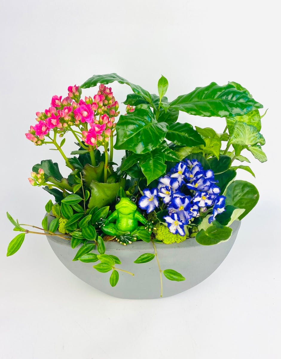 Garden Friend - Stadium Flowers - Seattle Plant Delivery