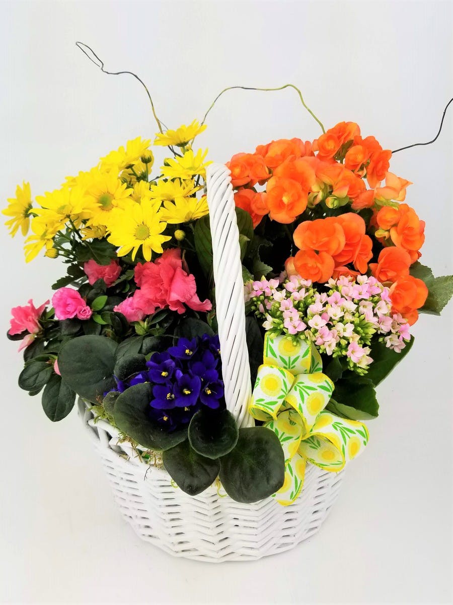 Watercolor Garden- Stadium Flowers