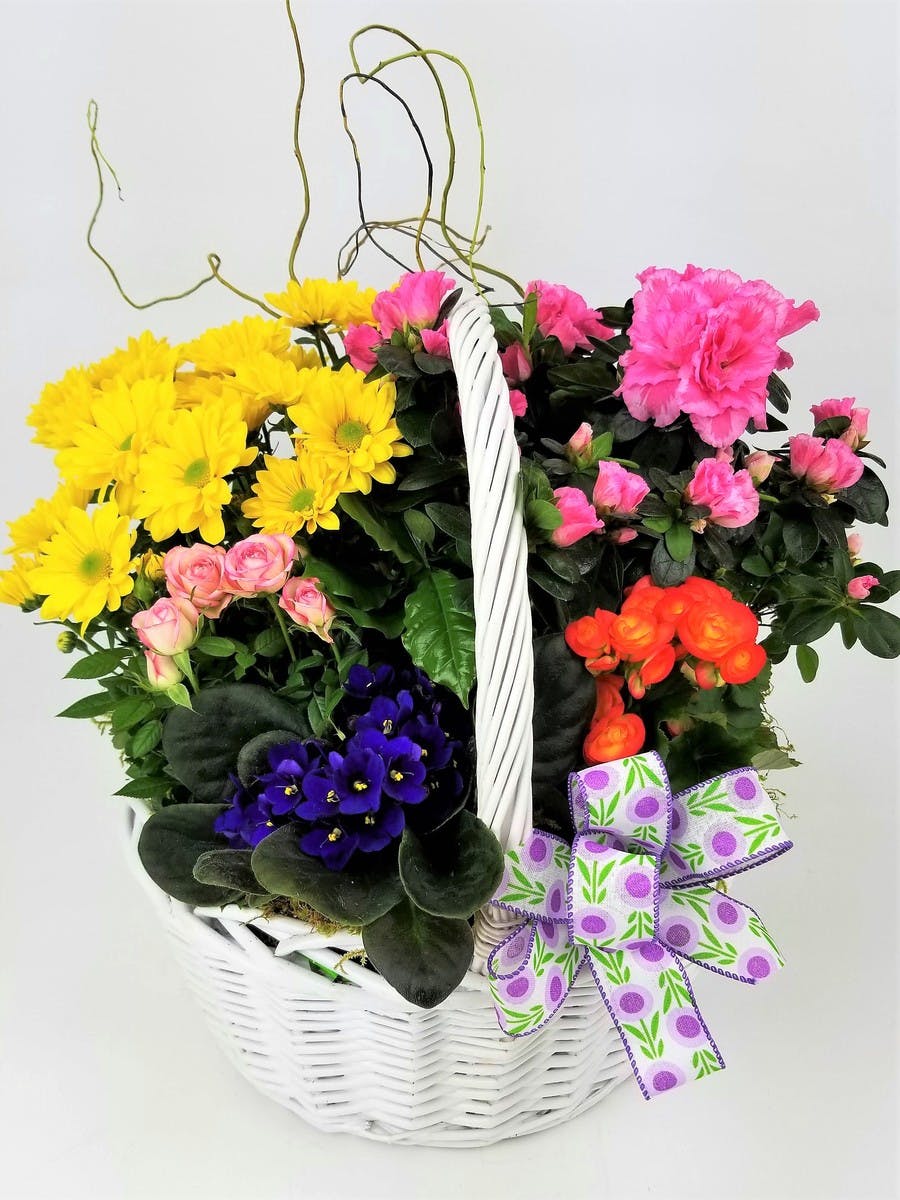 Watercolor Garden- Stadium Flowers